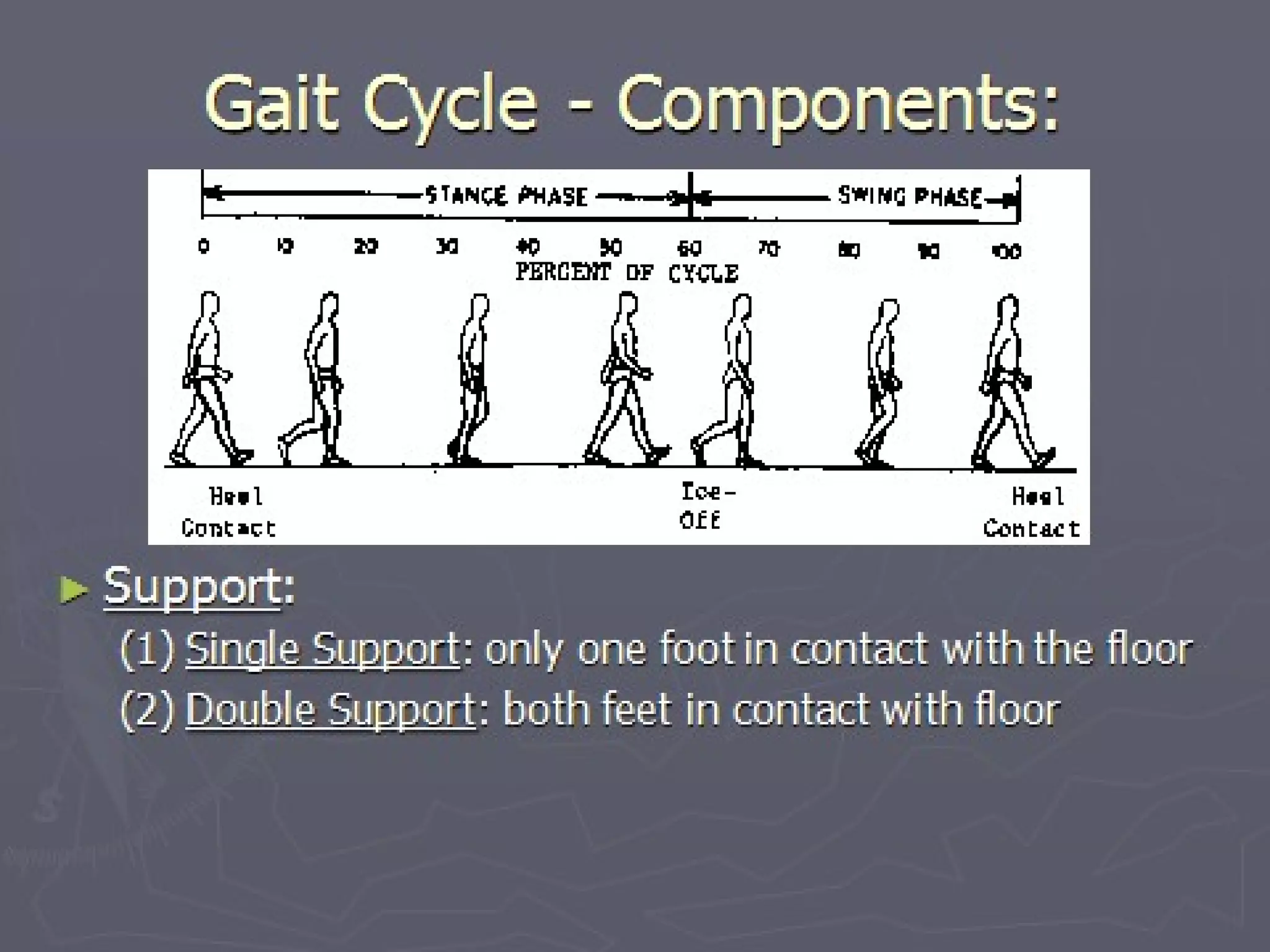 Gait | PPT