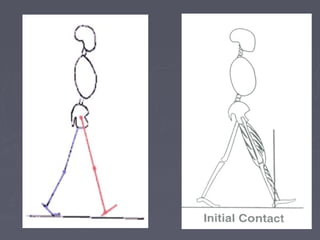 Gait | PPT