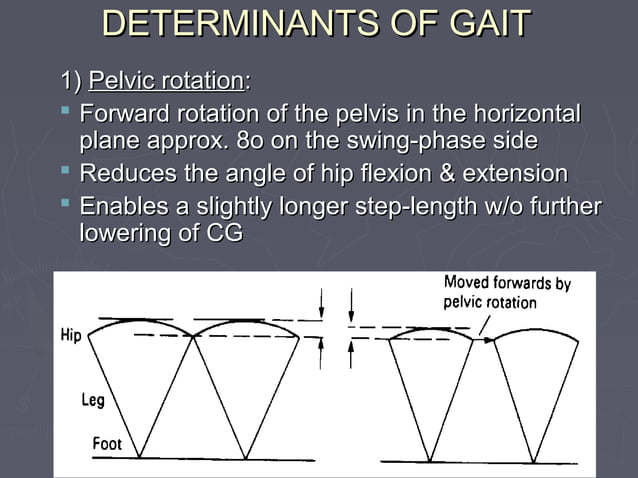 Gait | PPT