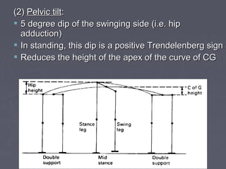 Gait | PPT