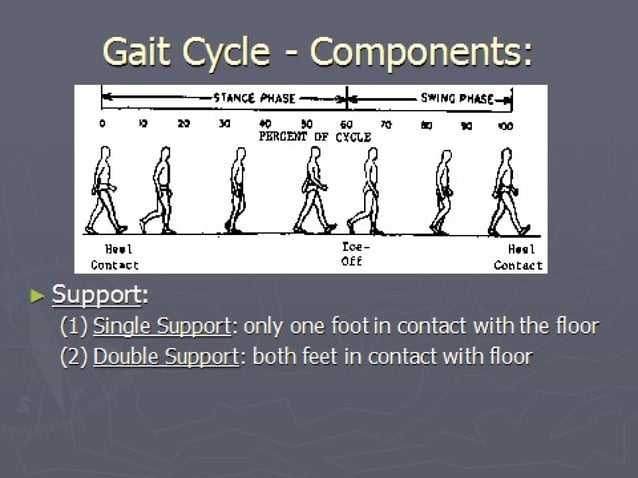 Gait | PPT
