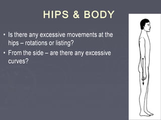 Gait | PPT