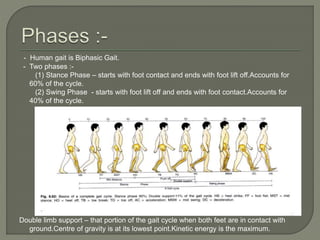 Human Gait | PPTX