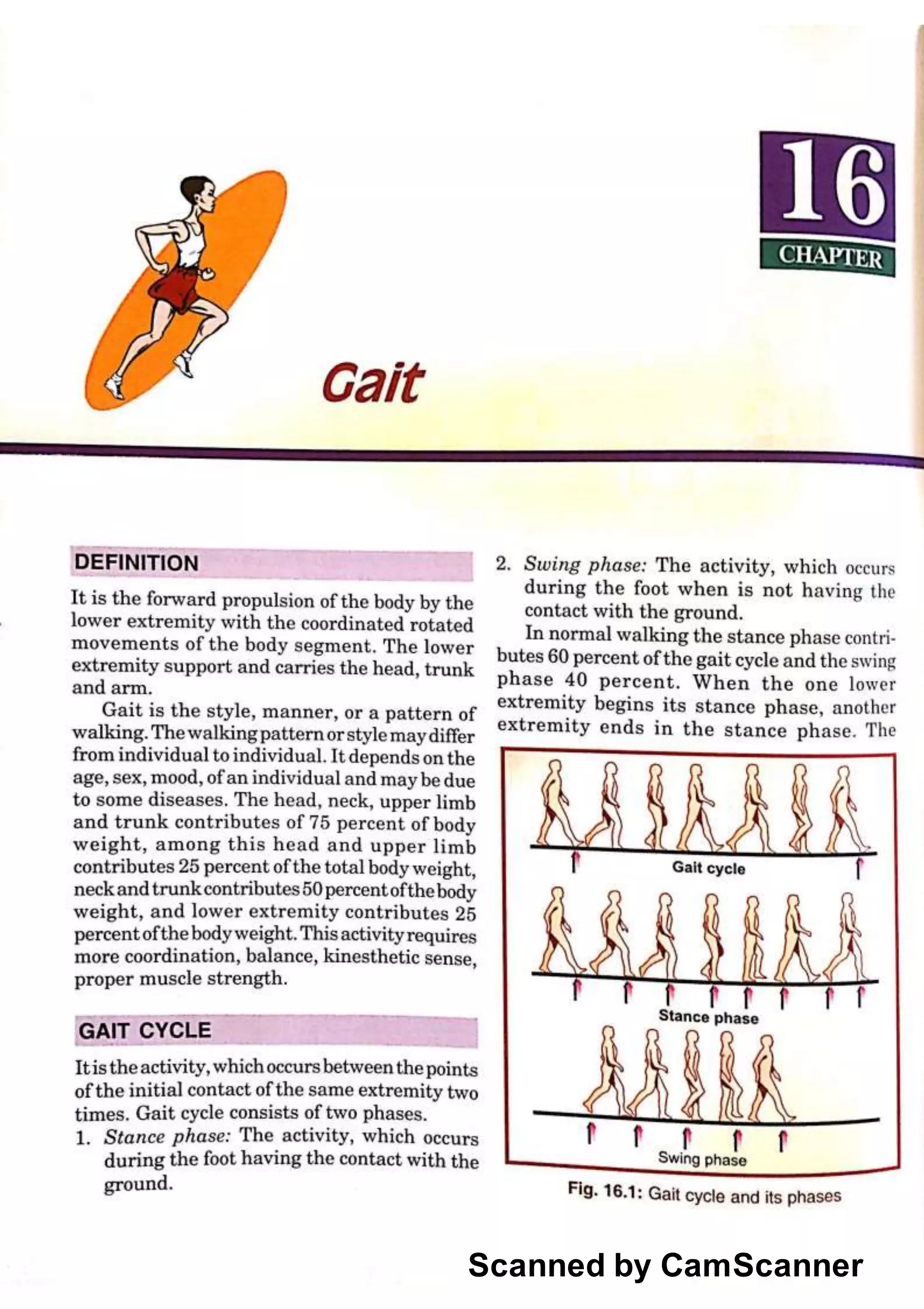 Gait | PDF