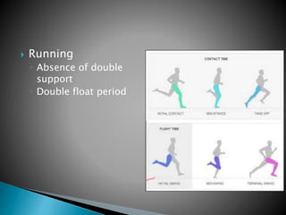 Gait | PPTX