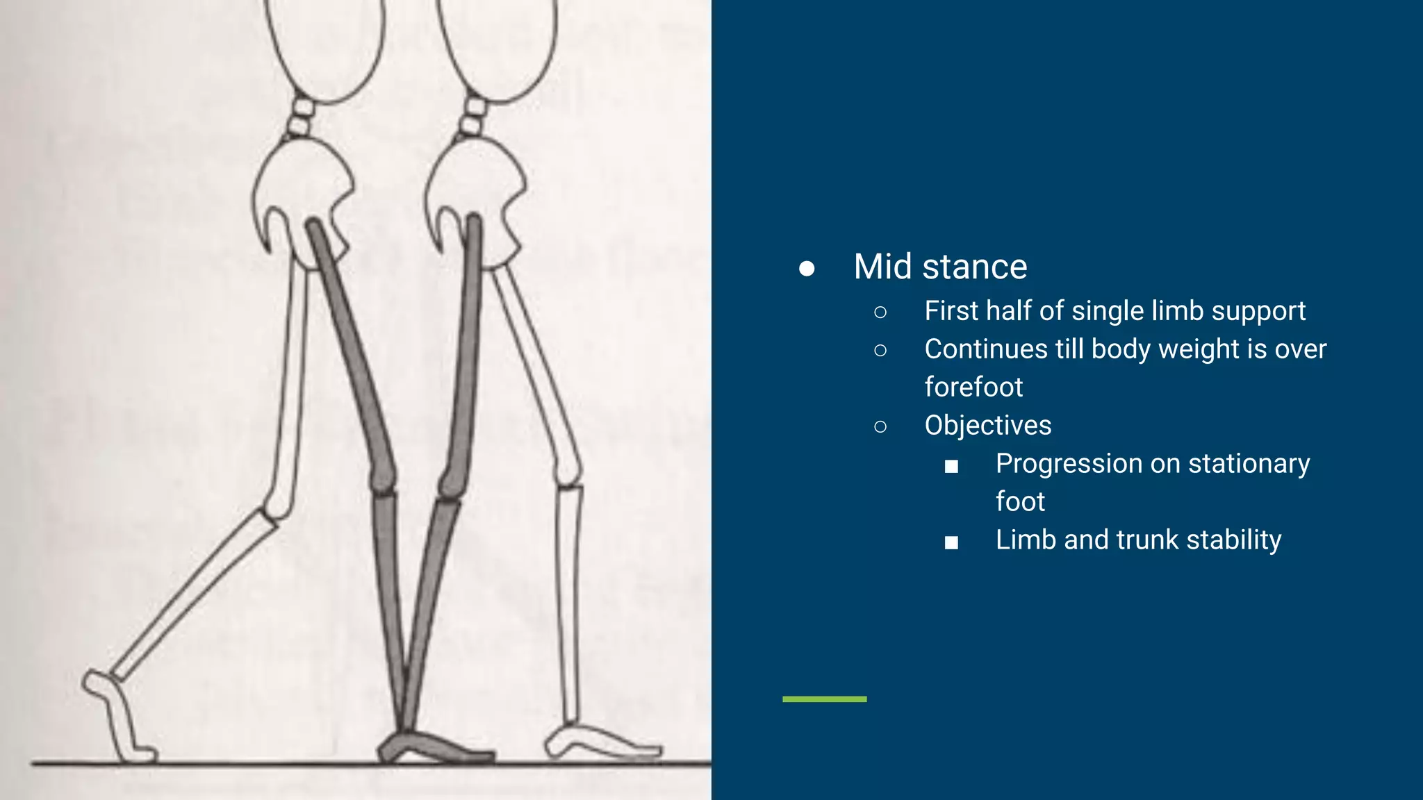 Gait & Approach to a limping child | PPT