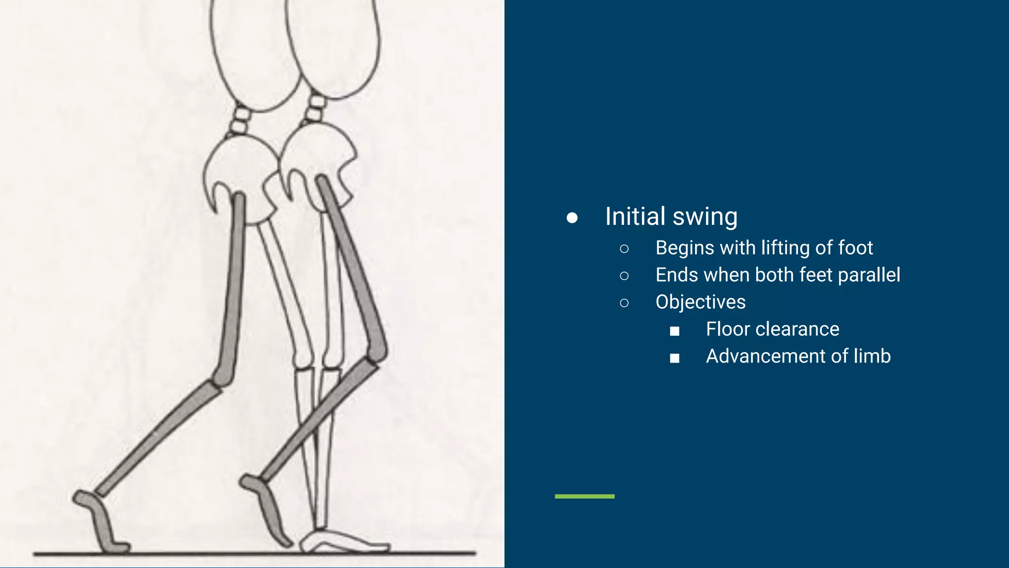 Gait & Approach to a limping child | PPT