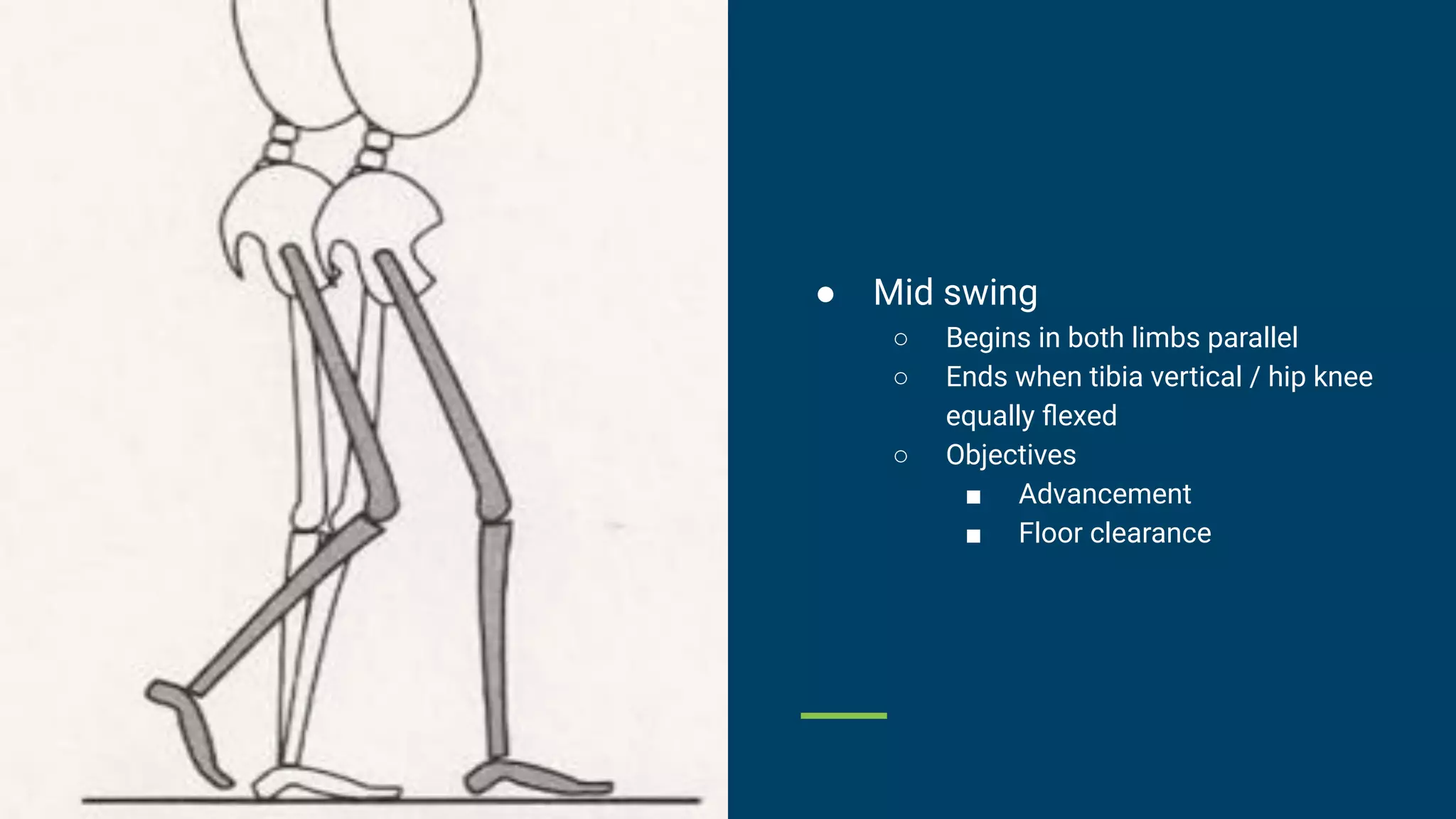 Gait & Approach to a limping child | PPT