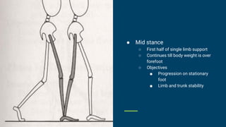 Gait & Approach to a limping child | PDF