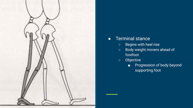 Gait & Approach to a limping child | PPT