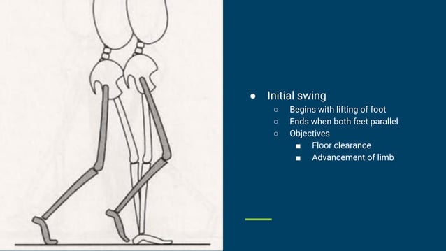 Gait & Approach to a limping child | PPT