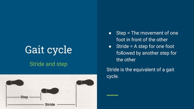 Gait & Approach to a limping child | PPT