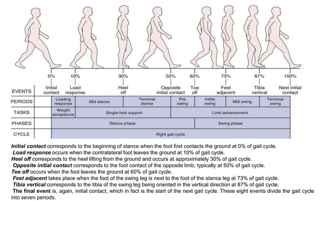 gait.pptx