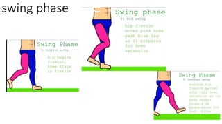 Gait.pptx