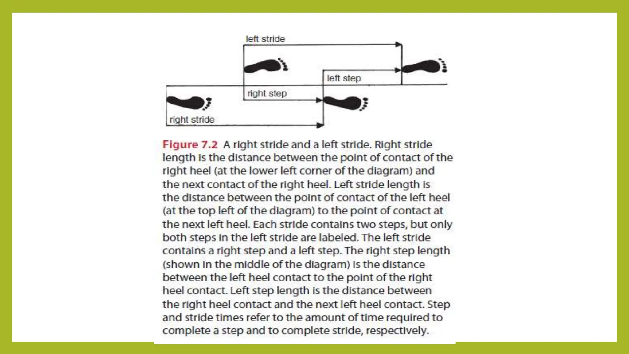GAIT Analysis Final Powerpoint presentation | PPTX