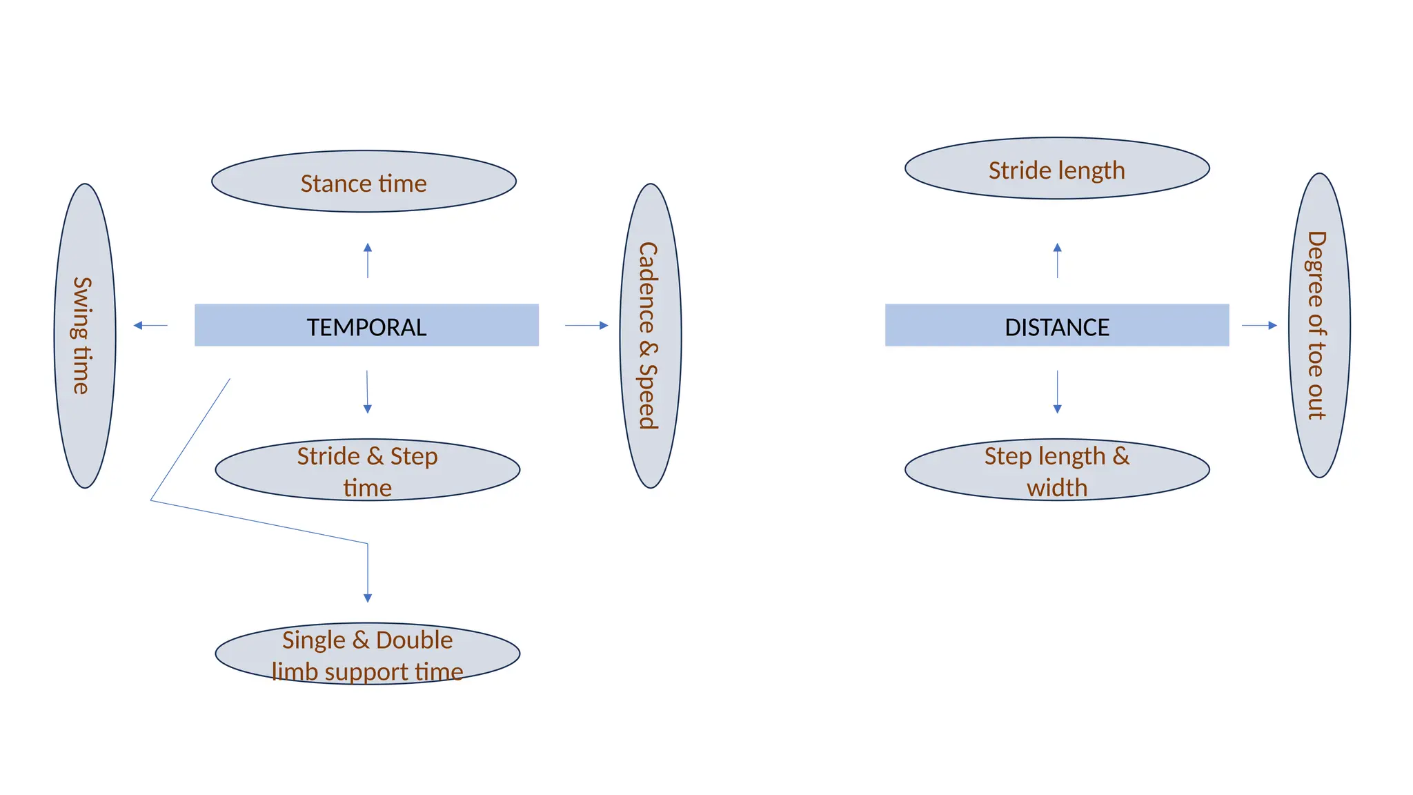 GAIT / GAIT CYCLE / PHASES OF GAIT / BIOMECHANICS | PPTX | Foot Health ...