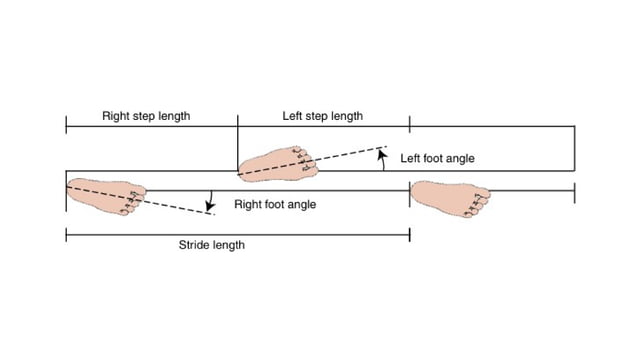 GAIT / GAIT CYCLE / PHASES OF GAIT / BIOMECHANICS | PPTX | Foot Health ...