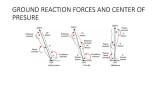 GAIT / GAIT CYCLE / PHASES OF GAIT / BIOMECHANICS | PPTX