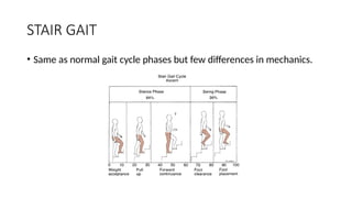 GAIT / GAIT CYCLE / PHASES OF GAIT / BIOMECHANICS | PPTX