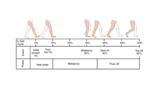 GAIT / GAIT CYCLE / PHASES OF GAIT / BIOMECHANICS | PPTX