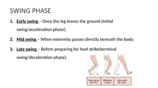GAIT / GAIT CYCLE / PHASES OF GAIT / BIOMECHANICS | PPTX | Foot Health ...