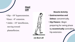 Gait, A overlook on Gait in physical therapy | PPTX