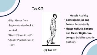 Gait, A overlook on Gait in physical therapy | PPTX