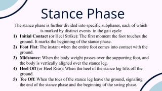 Gait, A overlook on Gait in physical therapy | PPTX