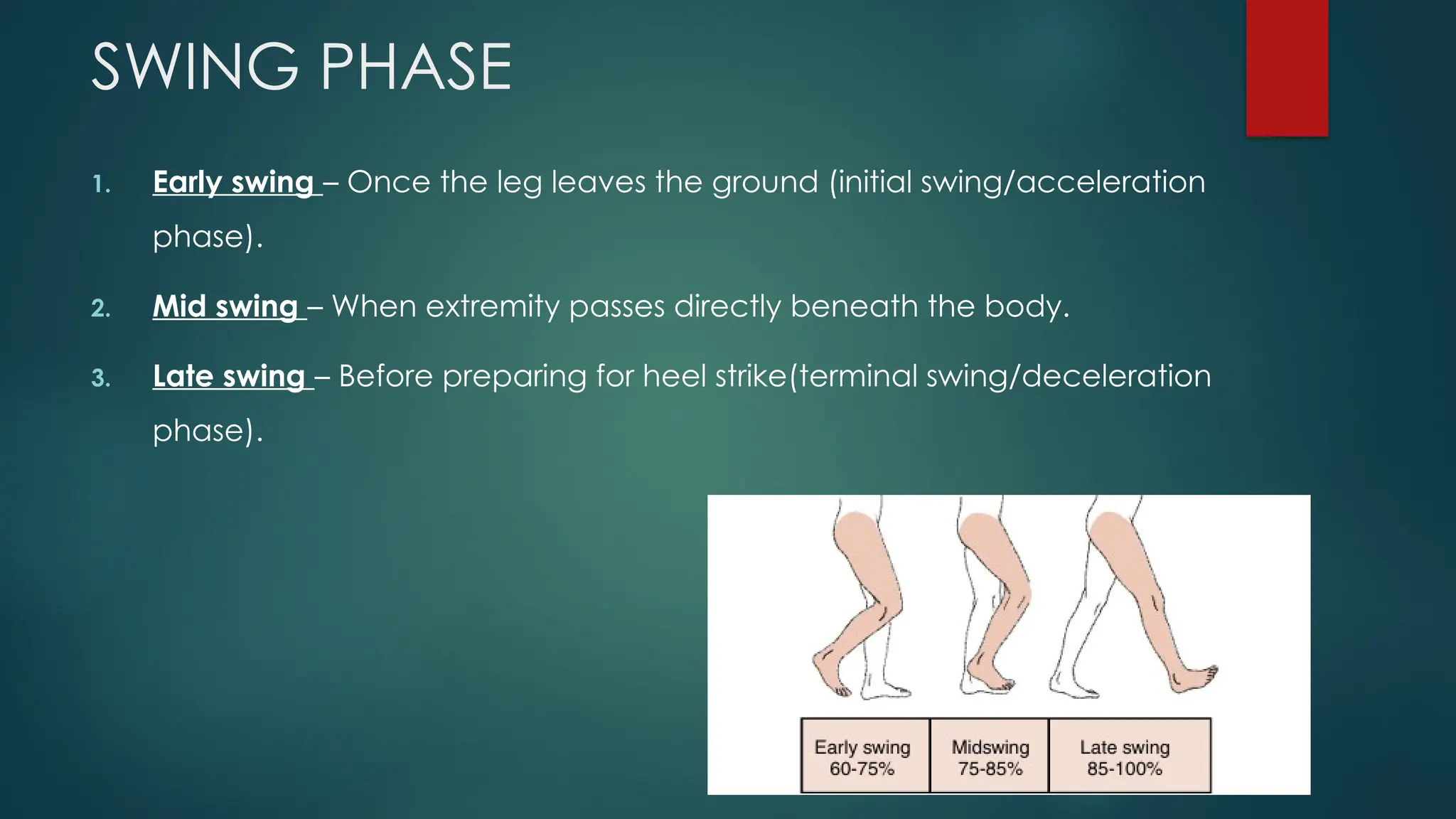 GAIT / GAIT CYCLE / PHASES OF GAIT / BIOMECHANICS | PPTX
