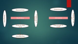 GAIT / GAIT CYCLE / PHASES OF GAIT / BIOMECHANICS | PPTX