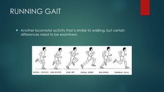 GAIT / GAIT CYCLE / PHASES OF GAIT / BIOMECHANICS | PPTX