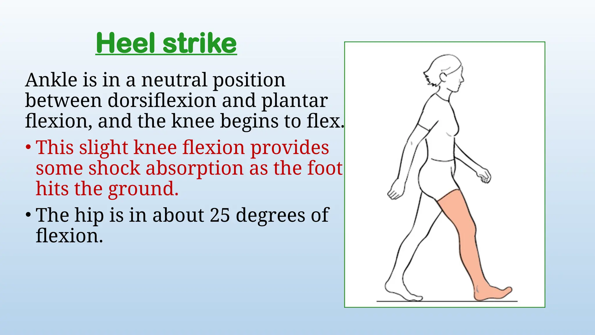Gait ,gait cycle,phases of gait, different gait patterns. | PPTX