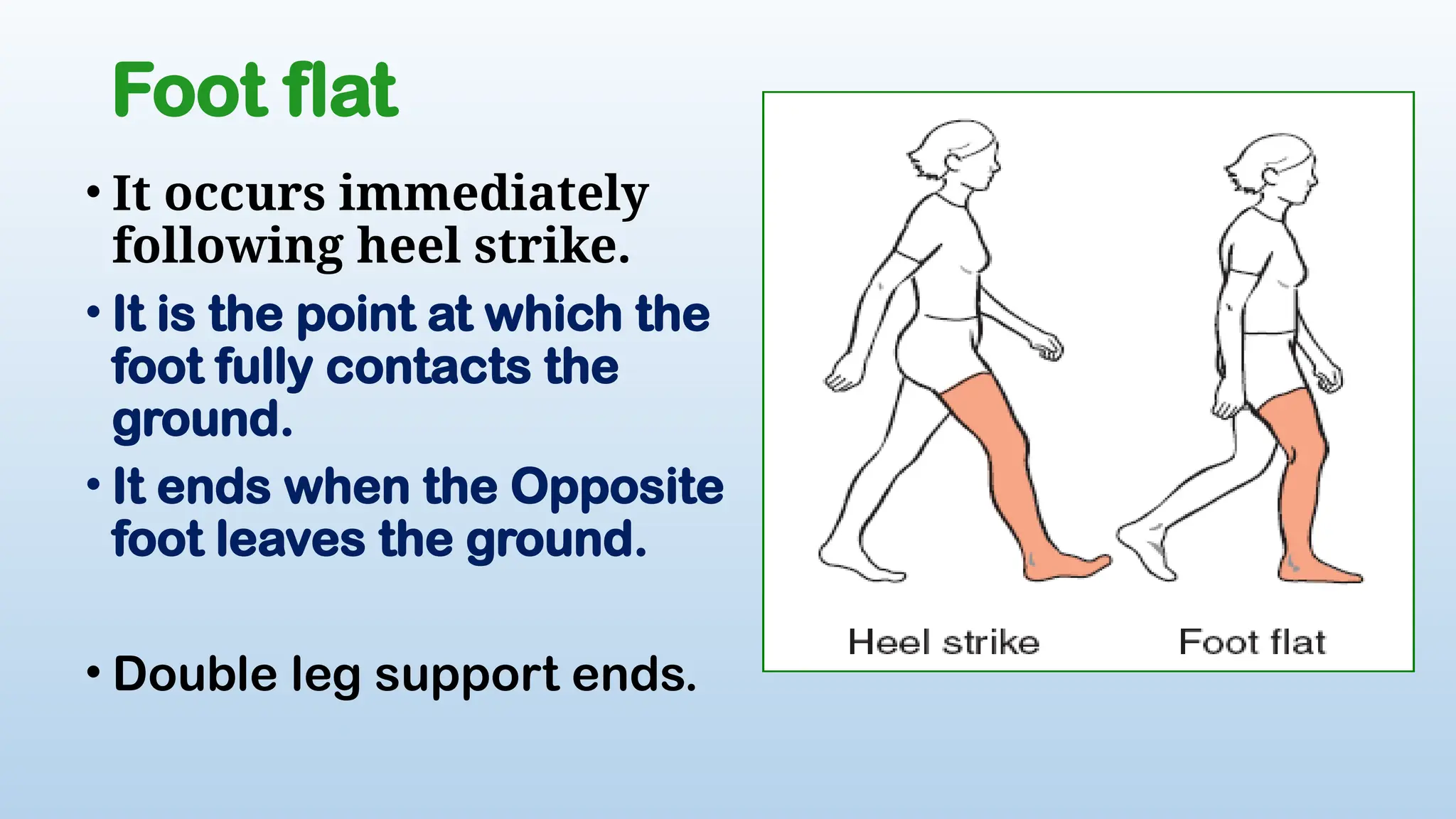 Gait ,gait cycle,phases of gait, different gait patterns. | PPTX