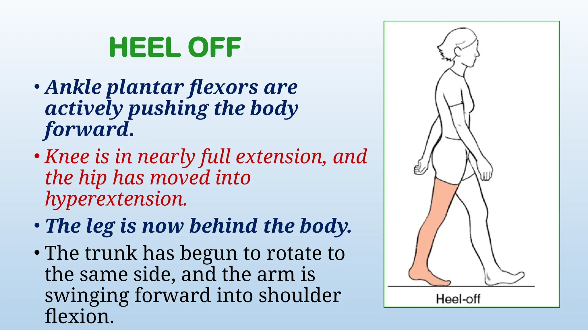Gait ,gait cycle,phases of gait, different gait patterns. | PPTX