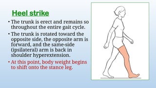 Gait ,gait cycle,phases of gait, different gait patterns. | PPTX