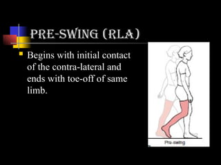 gait.ppt stance phase swing phase gait analysis | PPT