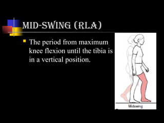 gait.ppt stance phase swing phase gait analysis | PPT