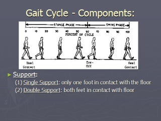 gait.ppt stance phase swing phase gait analysis | PPT
