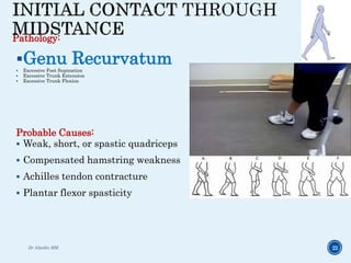 Human Gait - Basics, Pathology & Analysis.pptx