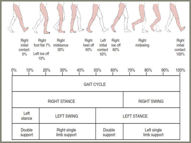 Gait_ Introduction, Analysis & Re-education Principles | PPTX