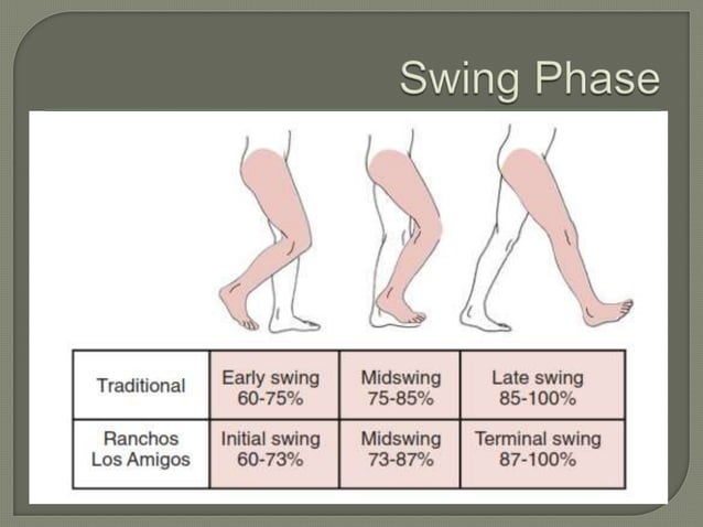 Gait Introduction Analysis And Re Education Principles