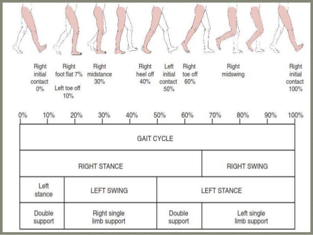 An Introduction To Gait Analysis Types Applications O