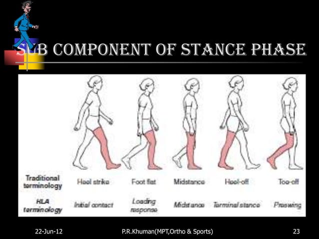 Gait normal & abnormal | PPTX
