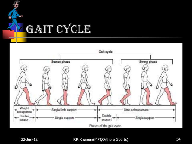 Gait normal & abnormal | PPTX