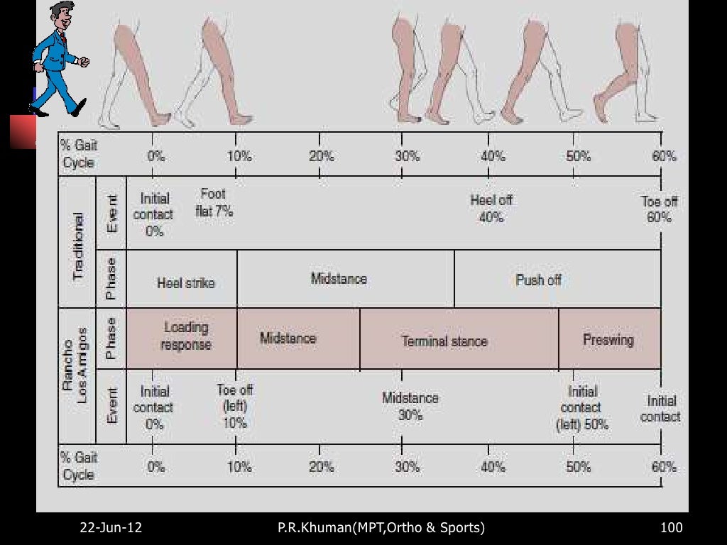 Gait normal & abnormal
