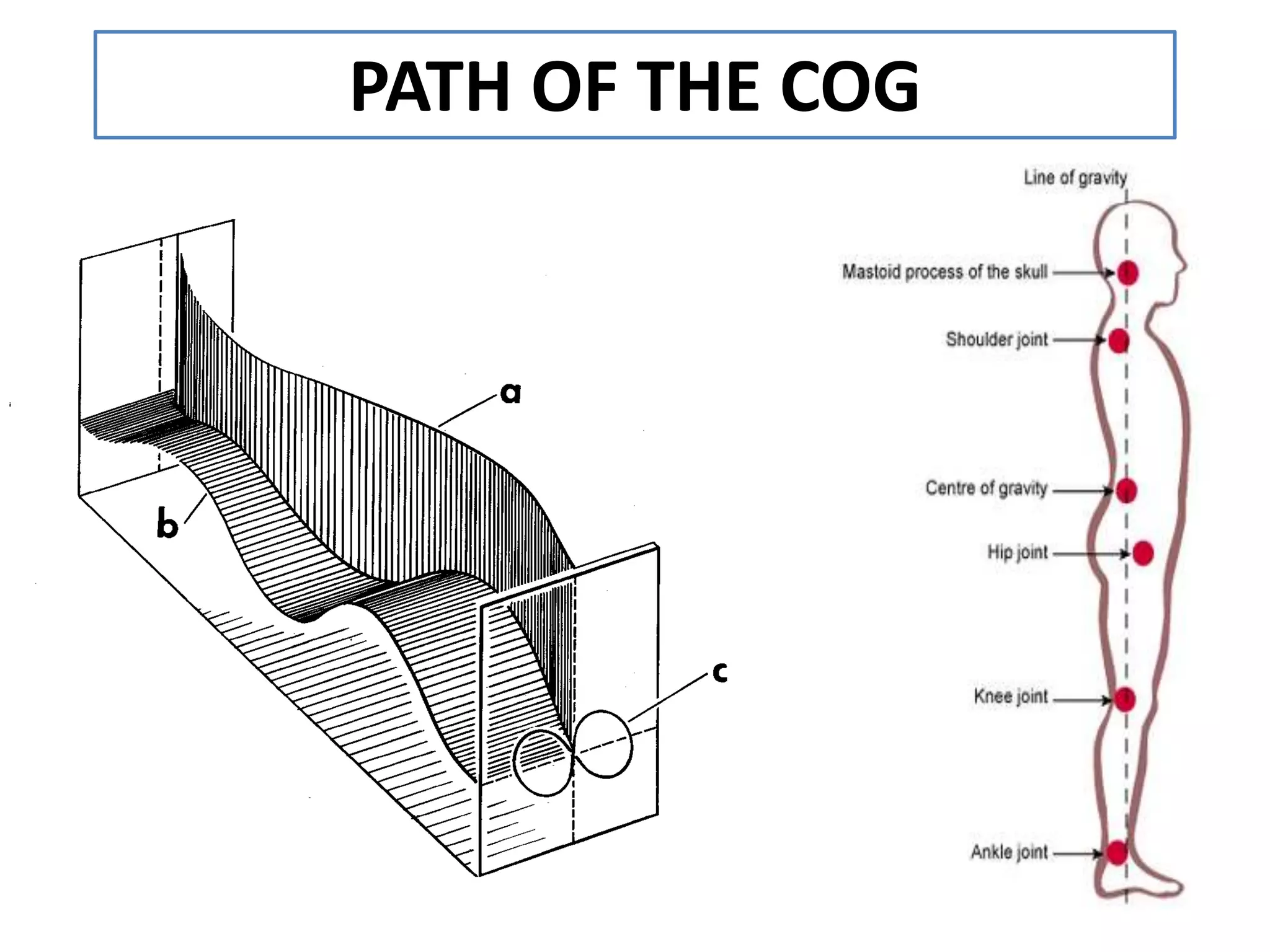 Gait parameters , determinants and assessment (2) | PPTX | Death, Injury, or Military Conflict ...