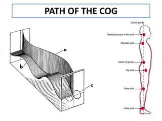 Gait parameters , determinants and assessment (2) | PPTX