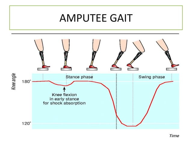 Gait parameters , determinants and assessment (2) | PPTX | Death ...