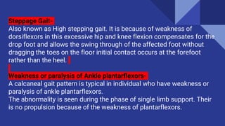 Biomechanics GAIT-TRAINING for physiotherapist.pptx