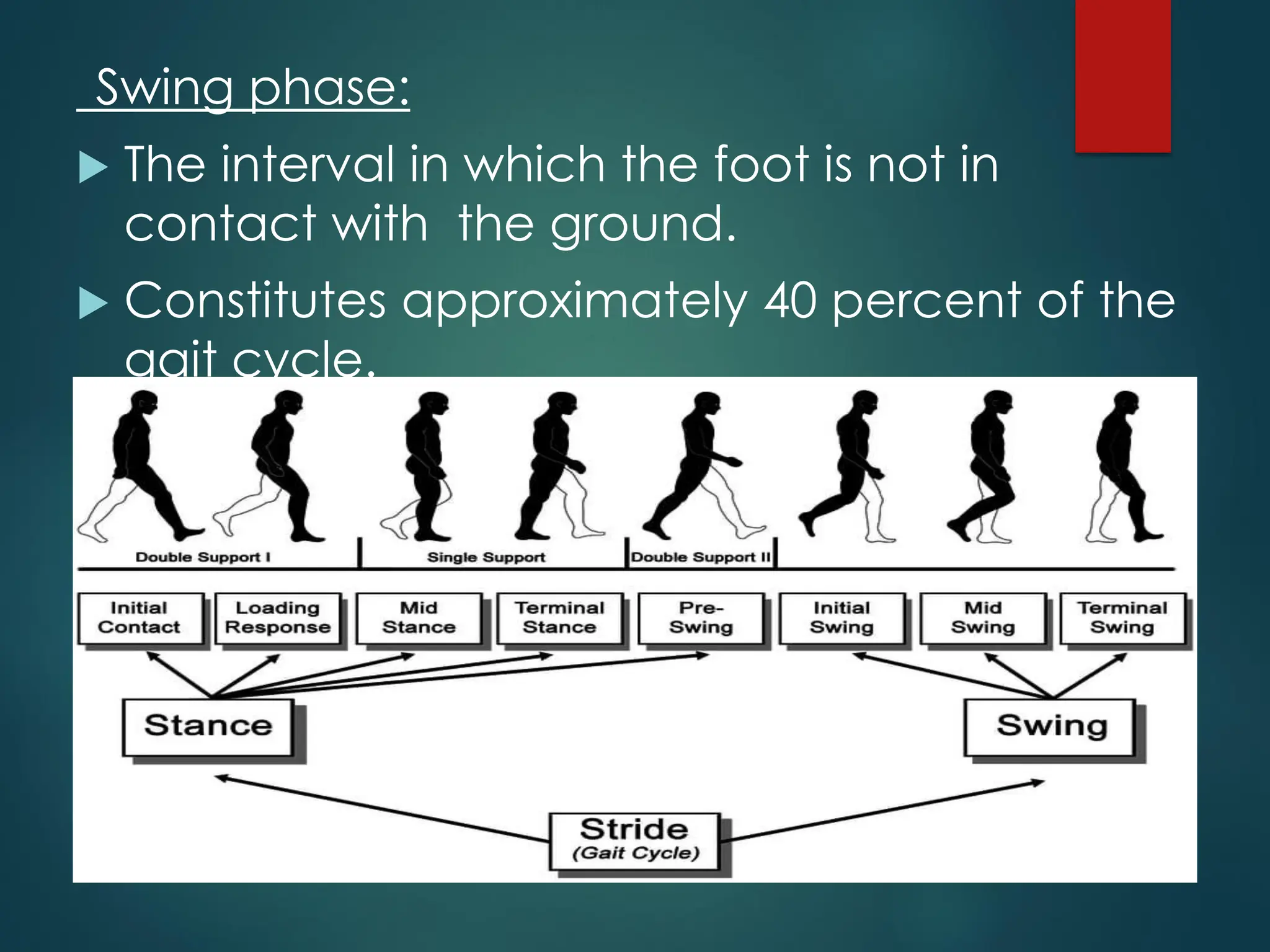 GAIT PATTERN AND THE NALYSIS OF IT AND IMPORTANCE IN FORENSICS | PDF